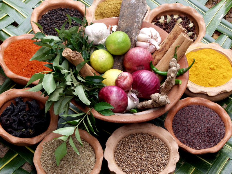Rajasthan Reise Kombiniert Mit Ayurveda Kur 12 Tage Indien 